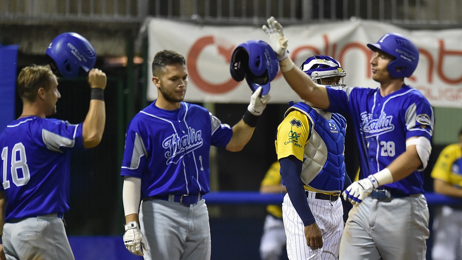 ITALIAN BASEBALL AND SOFTBALL FEDERATION - The official site