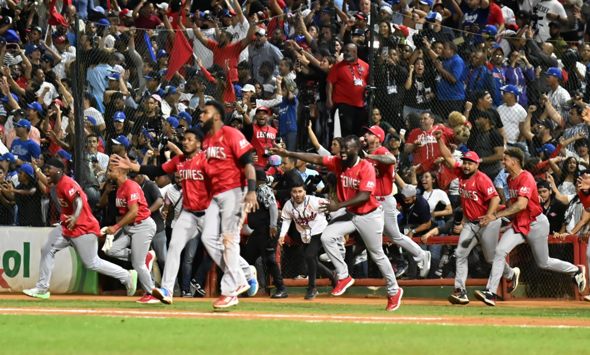 Escogido Leones win Game Seven thriller to claim Dominican Professional ...