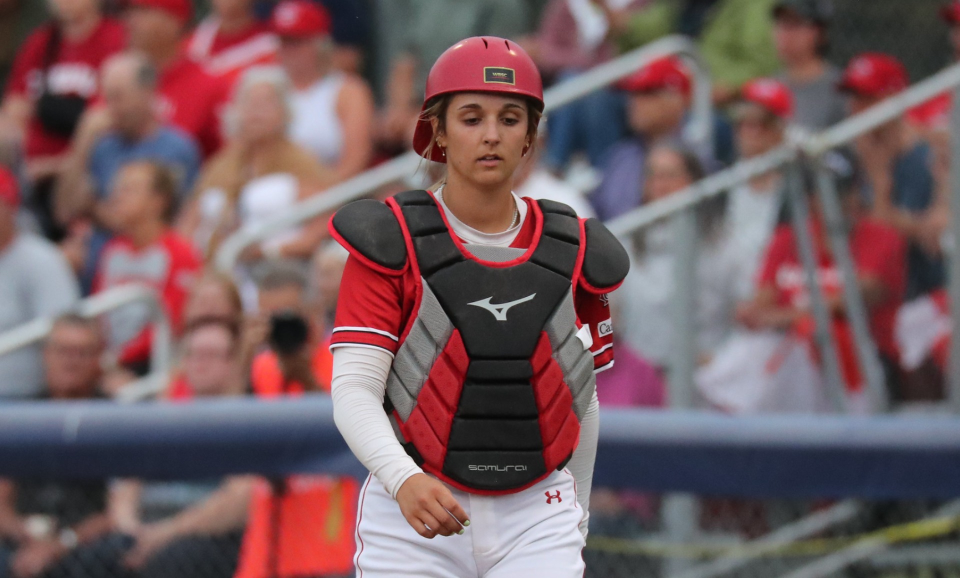 News - wbscamericas.org