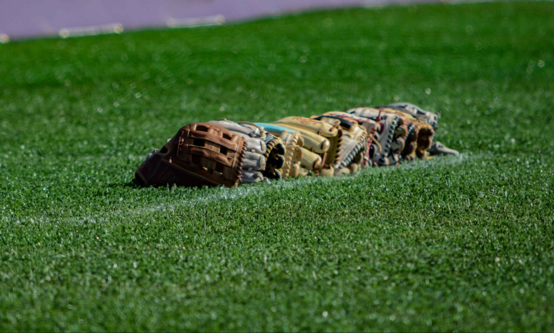 WBSC releases Integrity Unit Annual Report 2023 - World Baseball Softball Confederation - wbsc.org