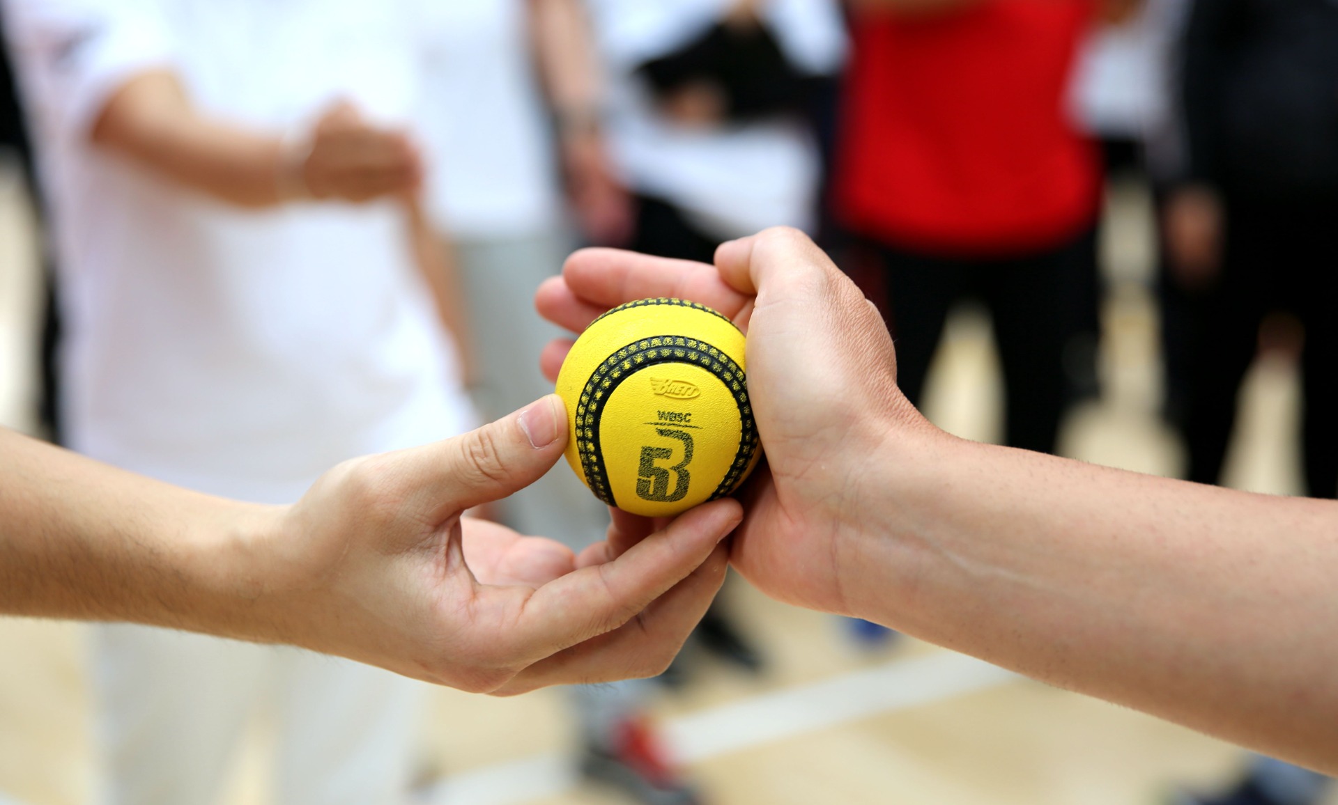 Baseball5 workshop held in Austria - World Baseball Softball ...