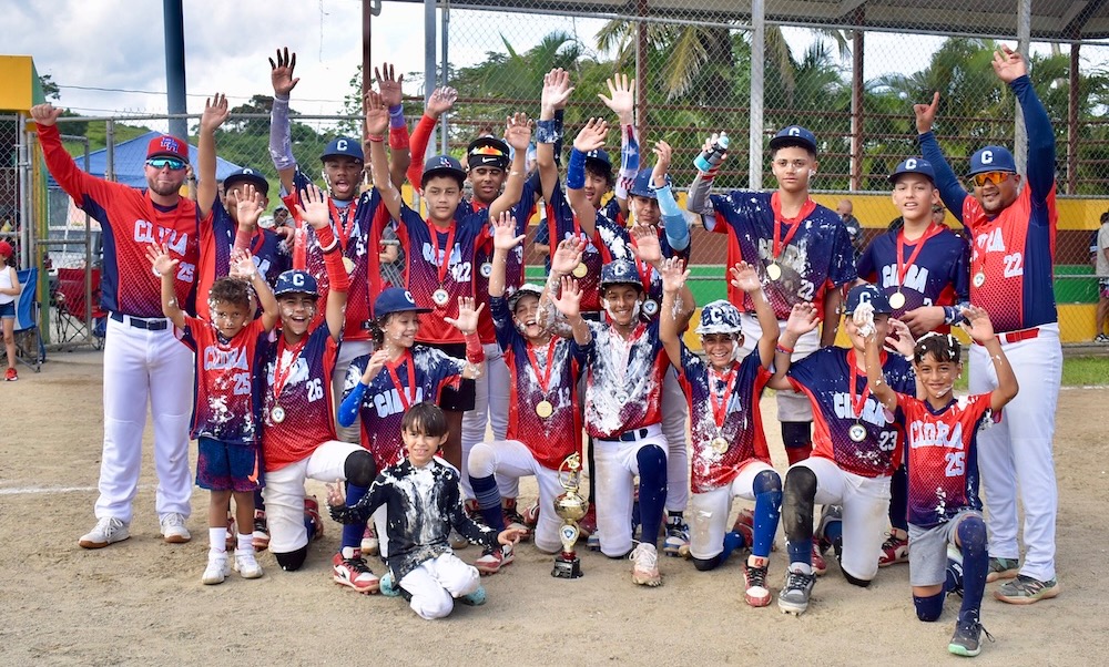 Cidra nuevo campeón de béisbol Sub-12 en Puerto Rico - World Baseball ...