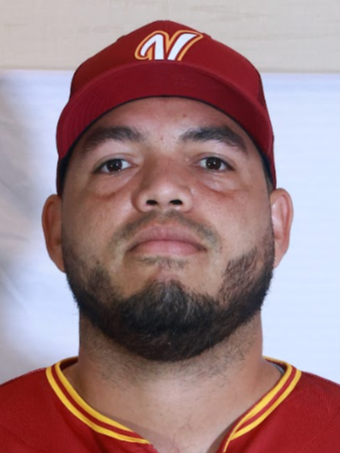 World Baseball Softball Confederation - WBSC Premier12 2024 presented ...