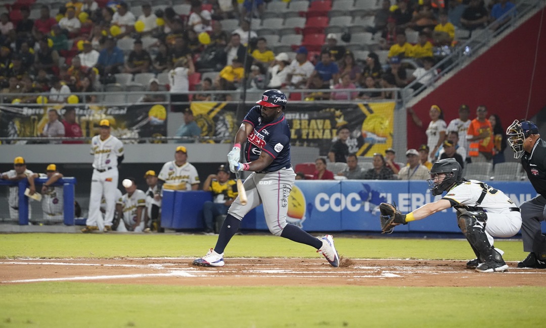 Bóer explosivo, no se rinde - APBN - laprofesionalapbn.com.ni