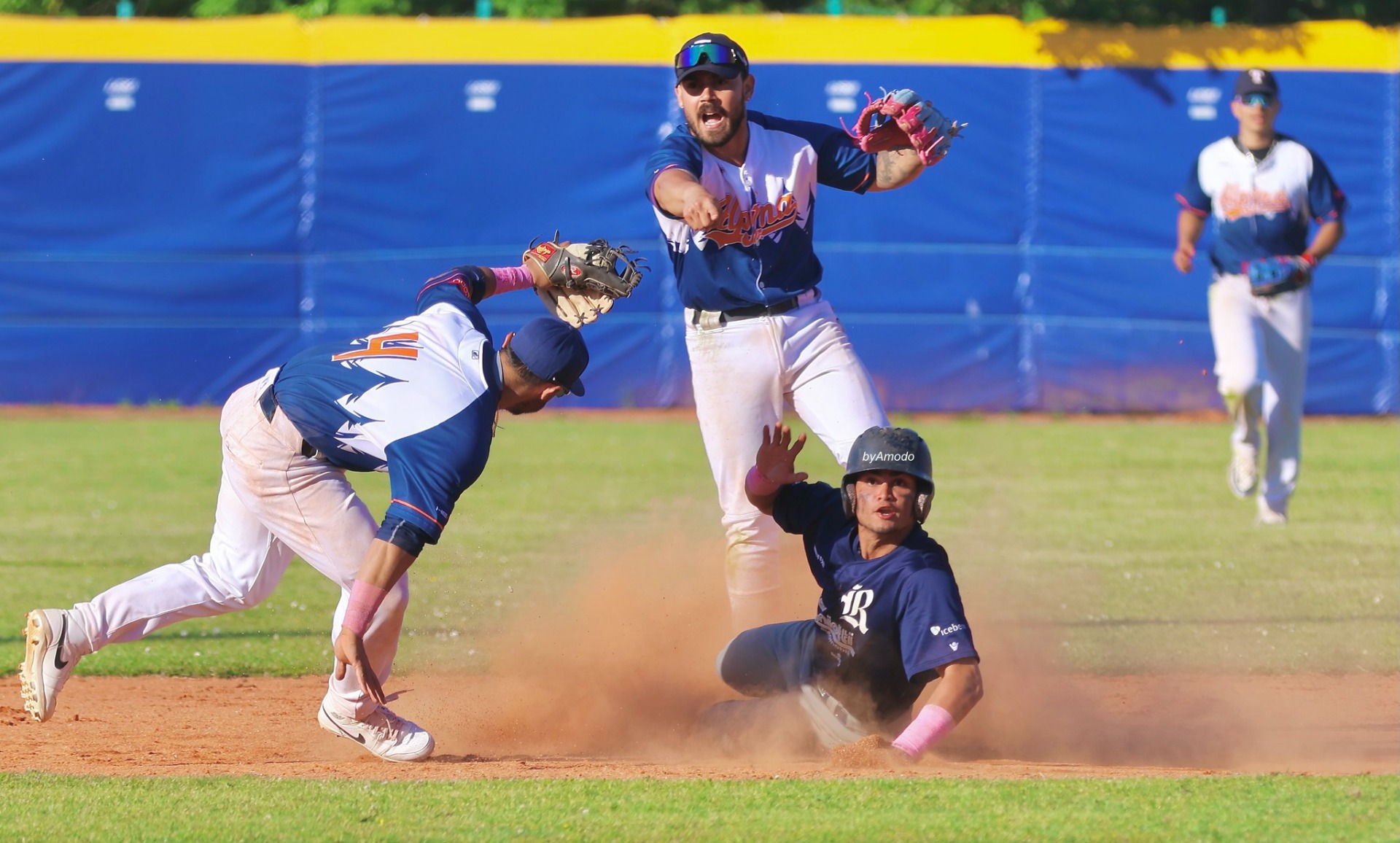 Federazione Italiana Baseball Softball - Serie A Baseball 2025