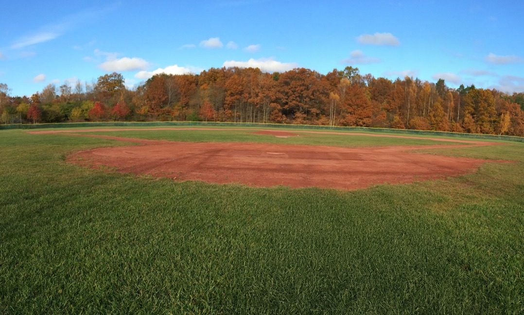 Baseball European Federation Cups 2025 to Be Held in Ljubljana and ...