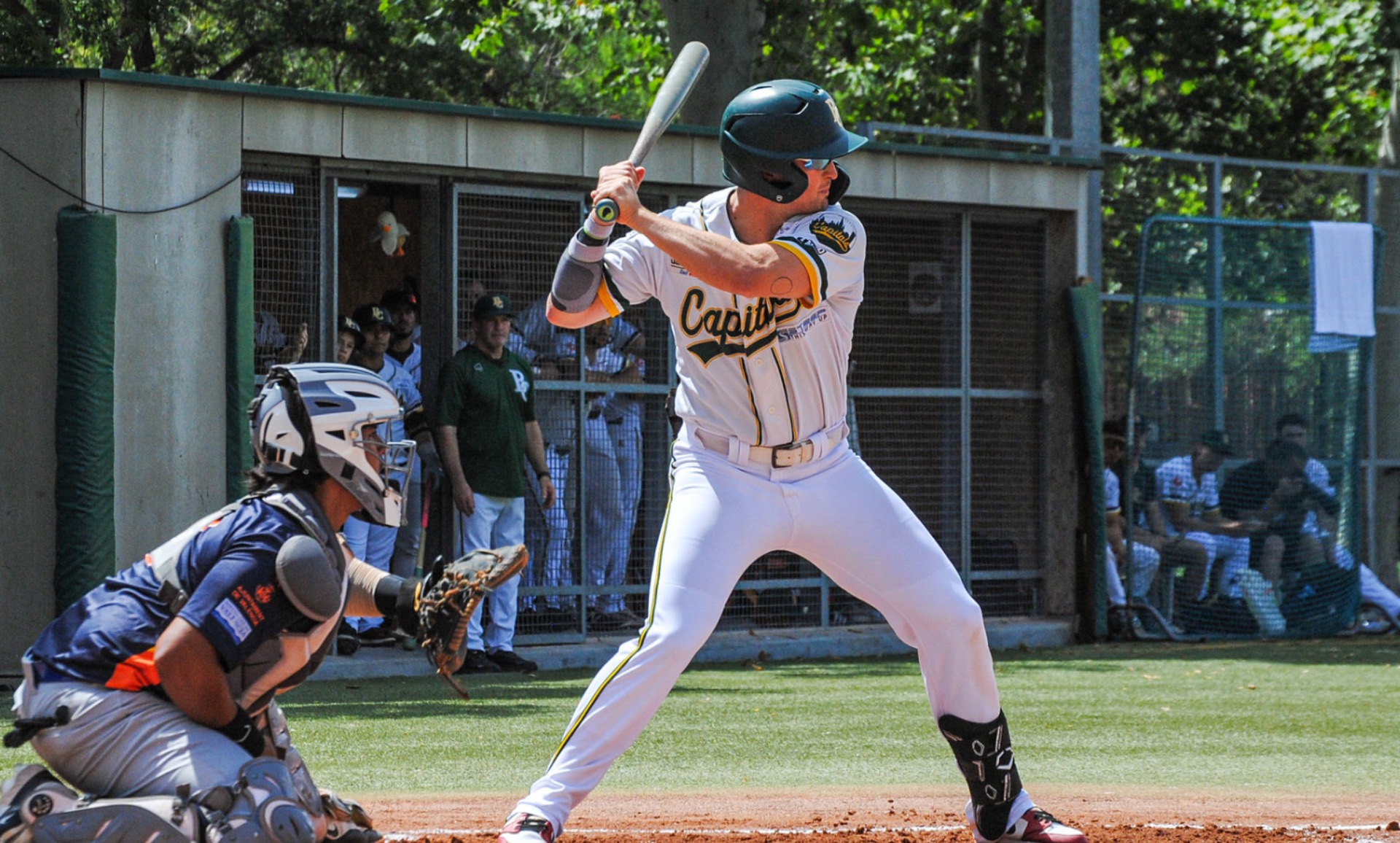 It was a German Sweep in Round 2 of the Baseball European Champions Cup ...