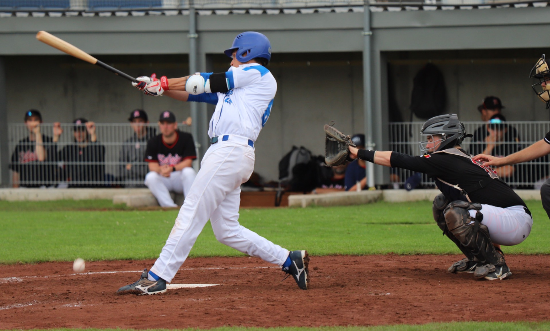 WBSC Europe - U-23 Baseball European Championship 2025