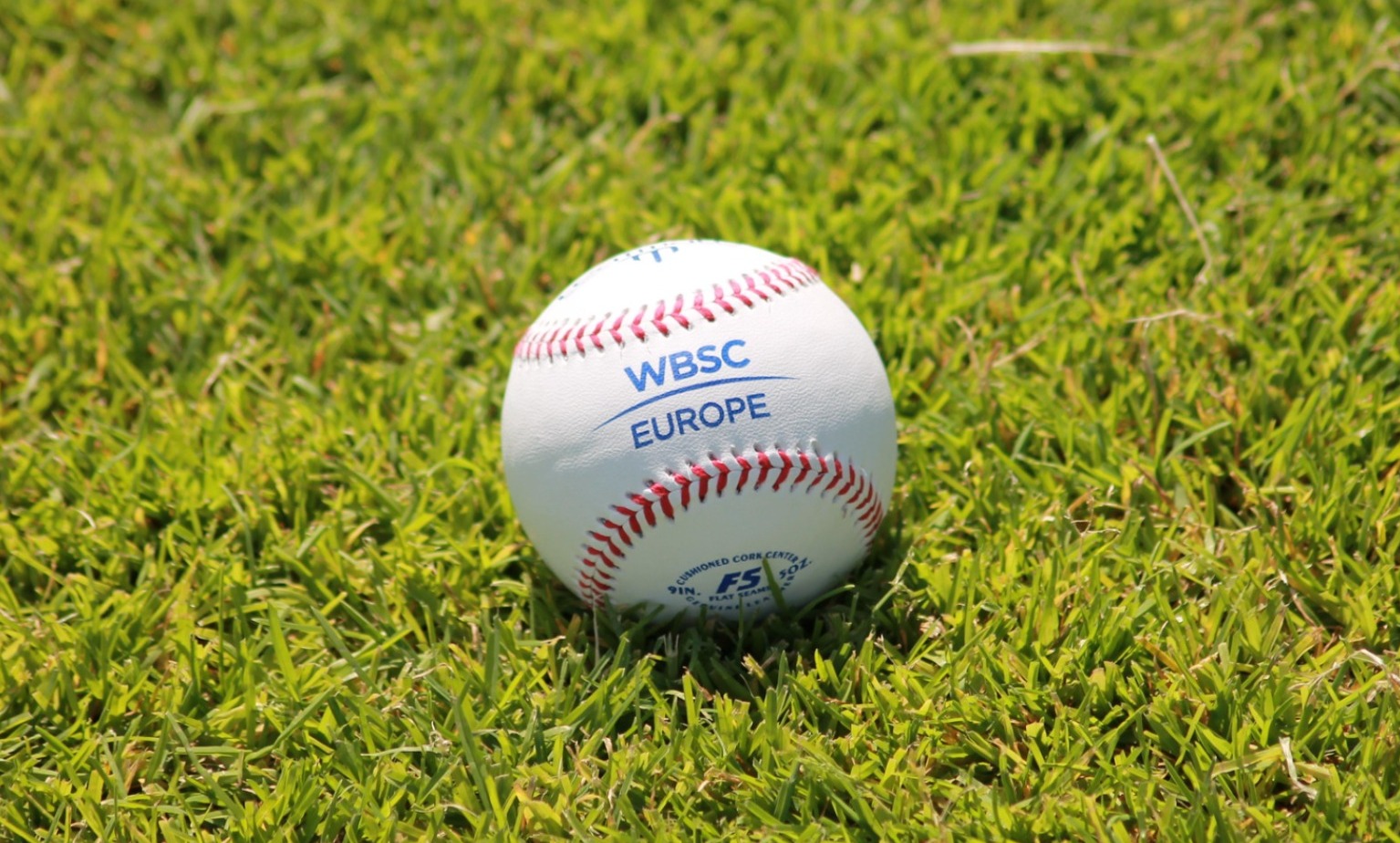 WBSC Europe VP Baseball Releases May 2026 Report Ahead of Busy ...