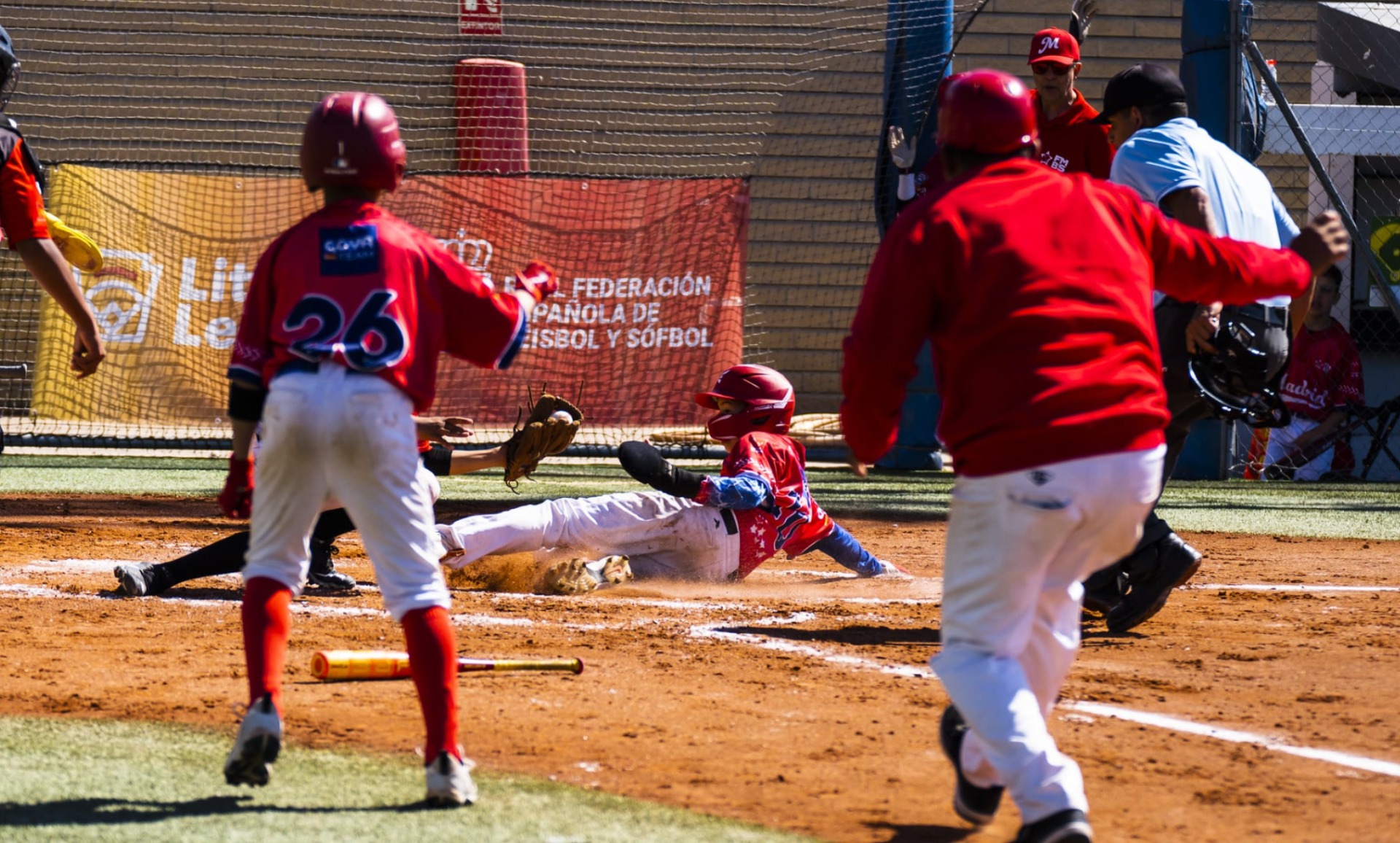 Baseball - rfebs.es