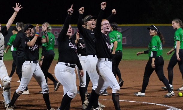 Metrostars und Crazy Chicklets stehen im Finale der Softball Bundesliga ...