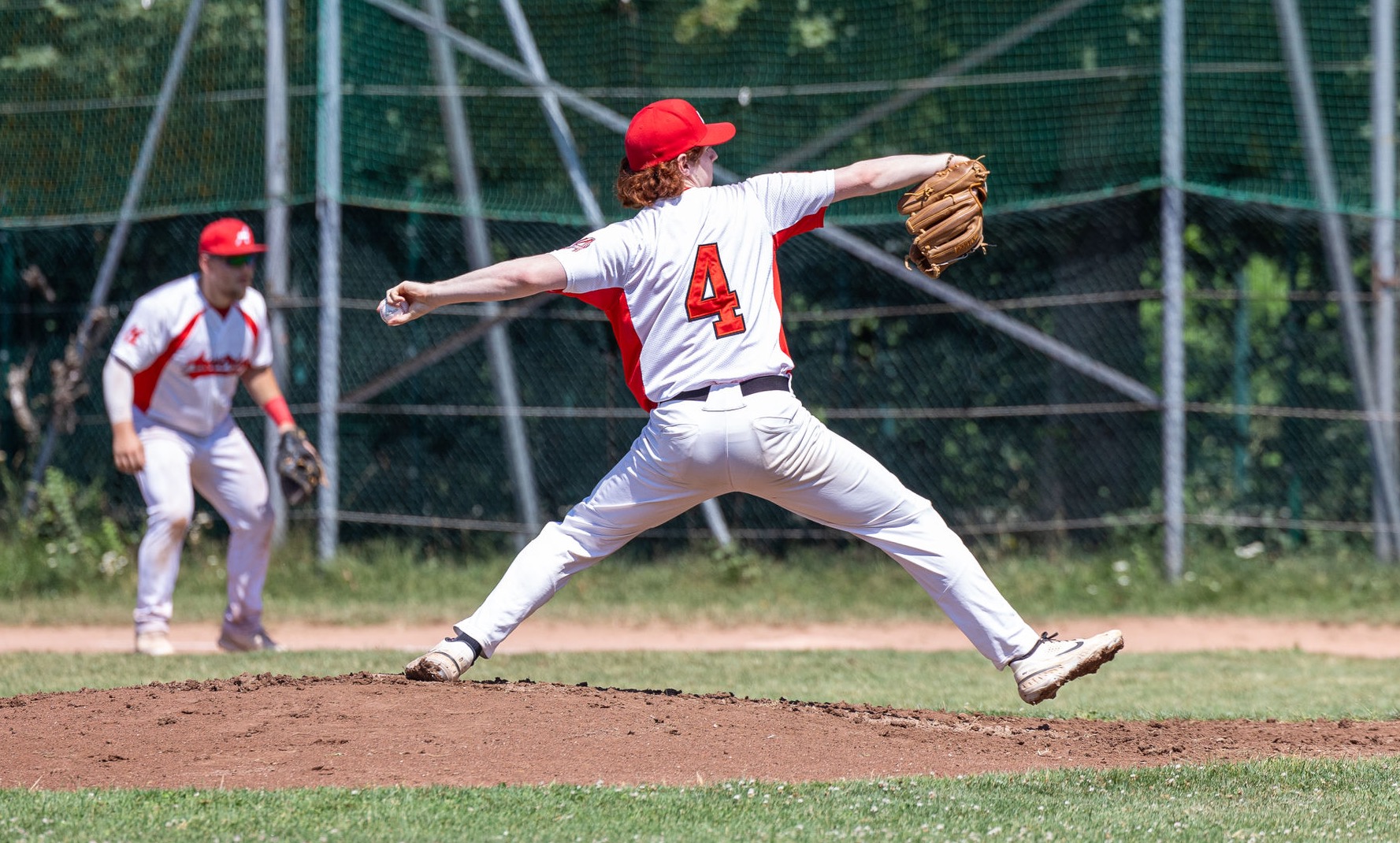 Austrian Baseball Softball Federation Baseballsoftball at
